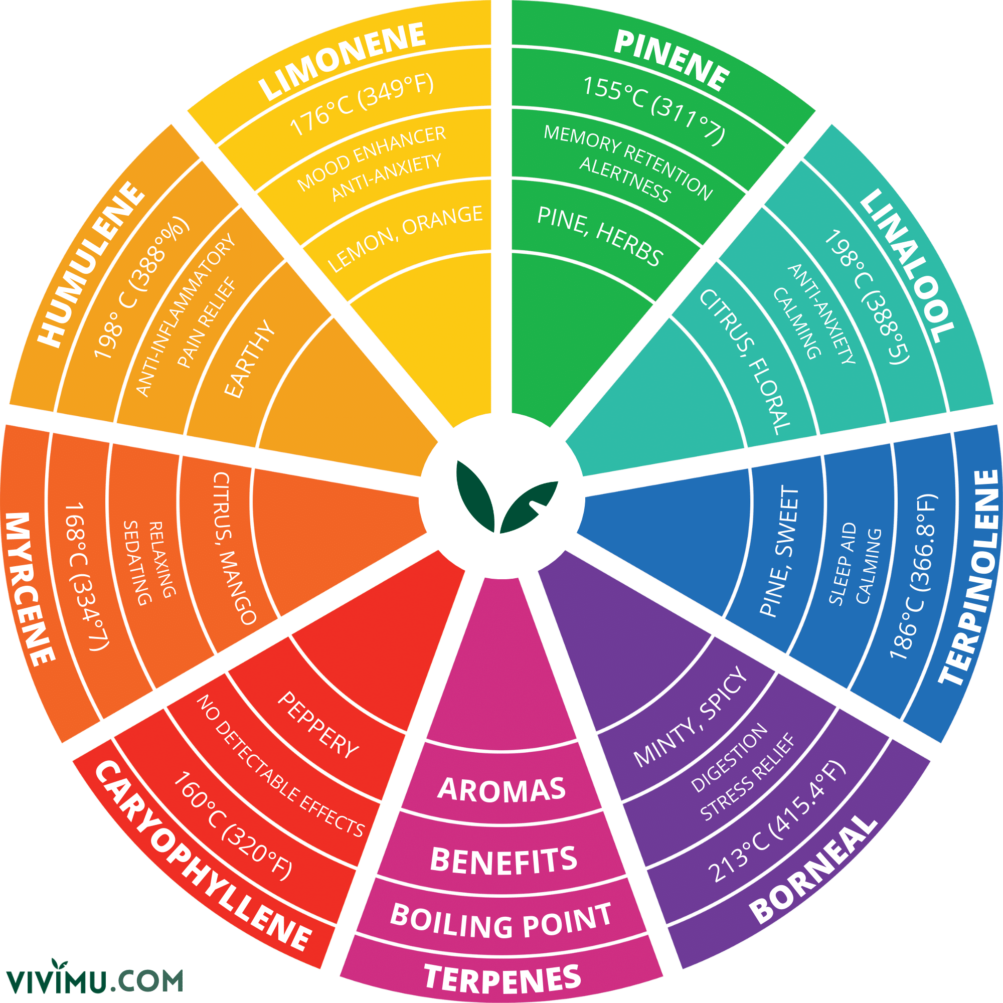 How To Read a Terpene Chart? - The Ultimate Guide